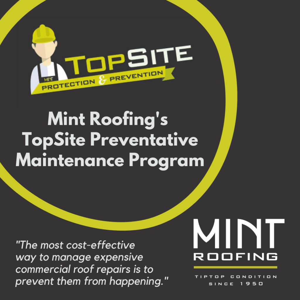The Comprehensive Guide to Commercial Roof Preventative Maintenance