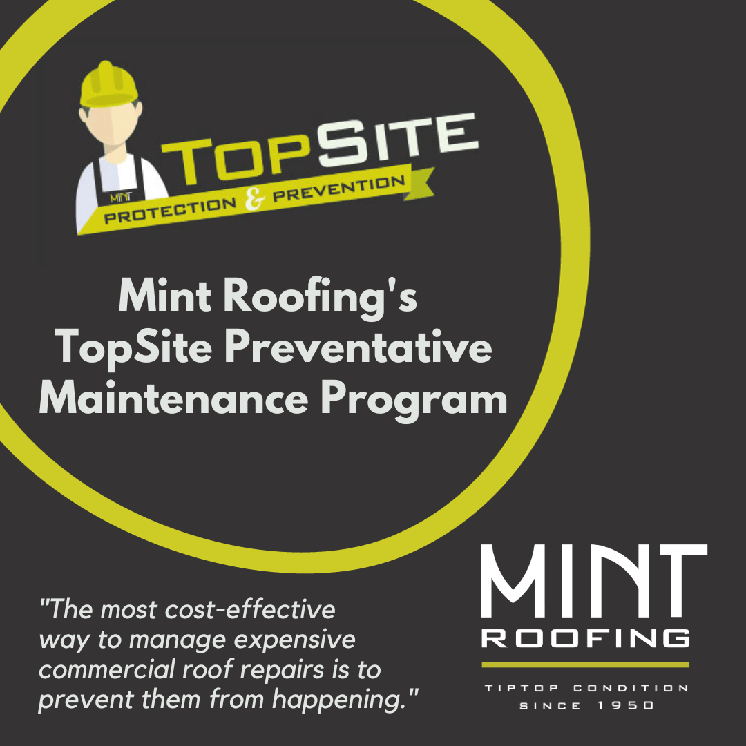 The Comprehensive Guide to Commercial Roof Preventative Maintenance